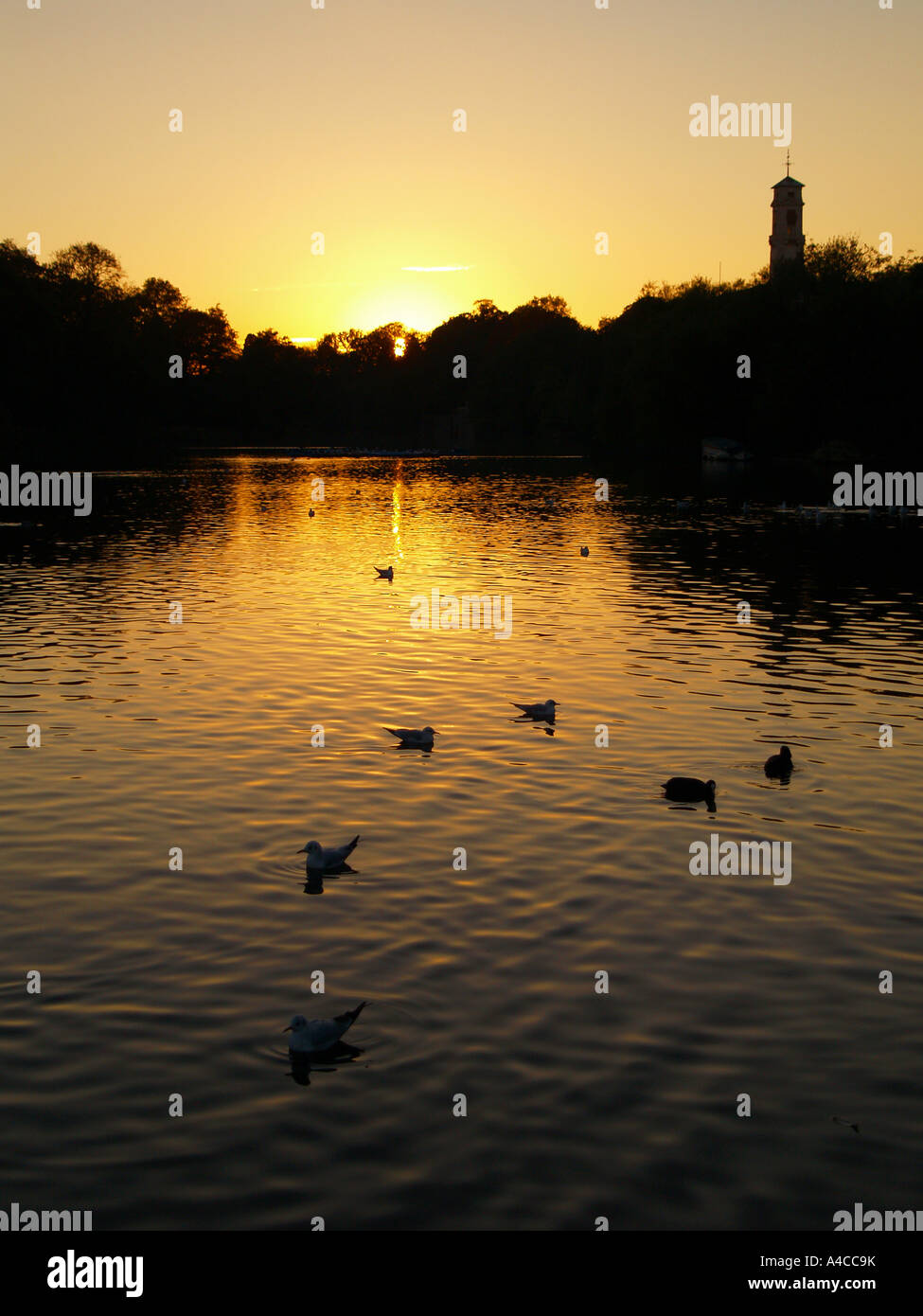 Highfield tower hi-res stock photography and images - Alamy