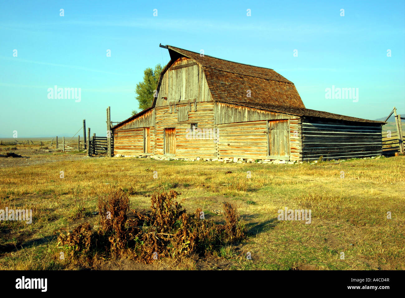 mormon row barn, grand teton national park Stock Photo - Alamy