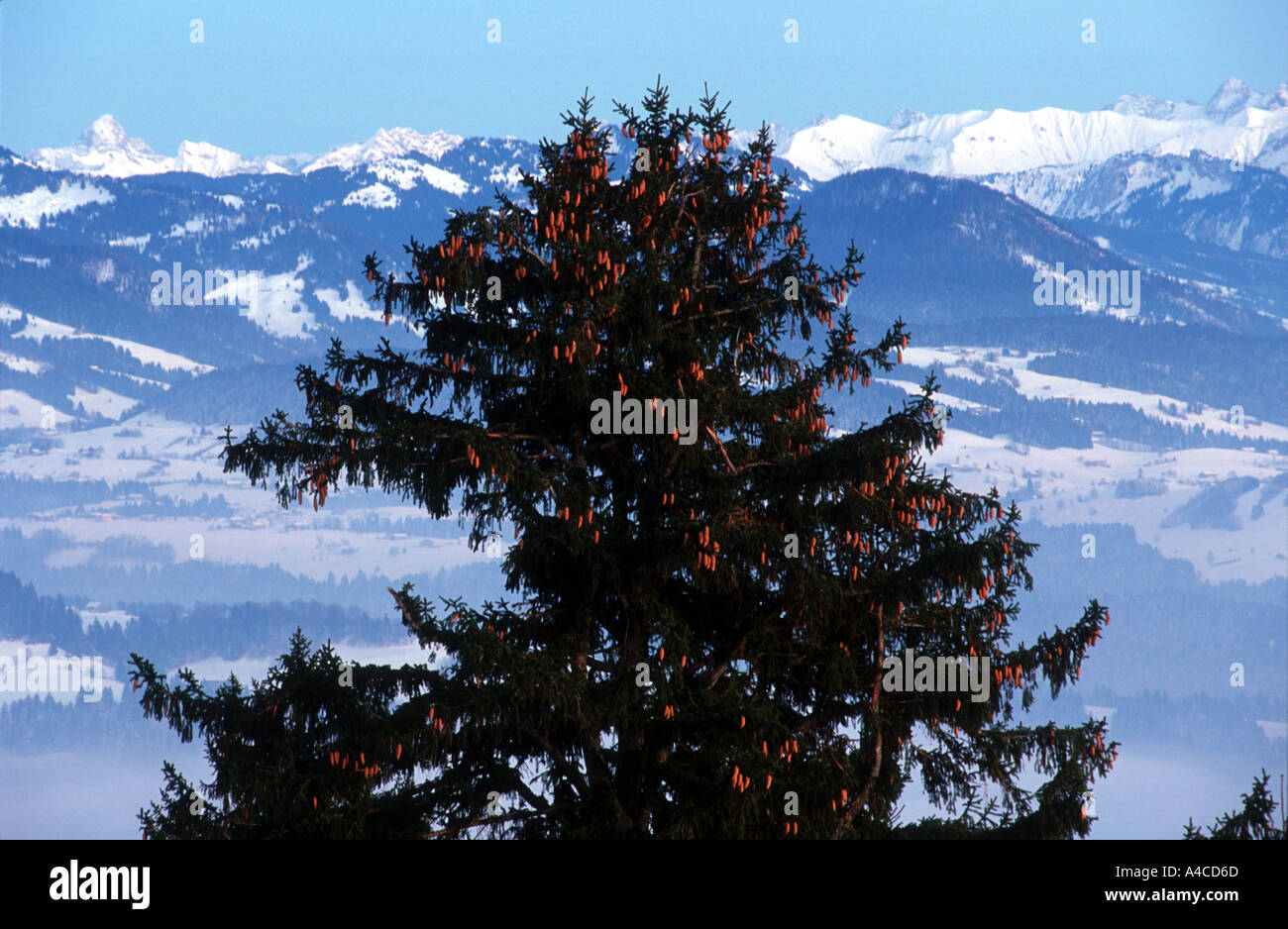 Bregenz view from mountain hi-res stock photography and images - Alamy