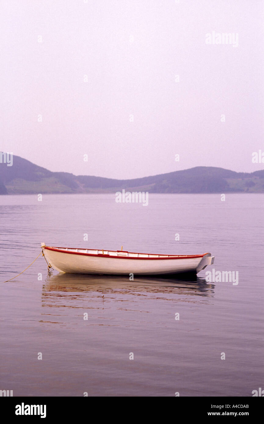Newfoundland dory boat hi-res stock photography and images - Alamy