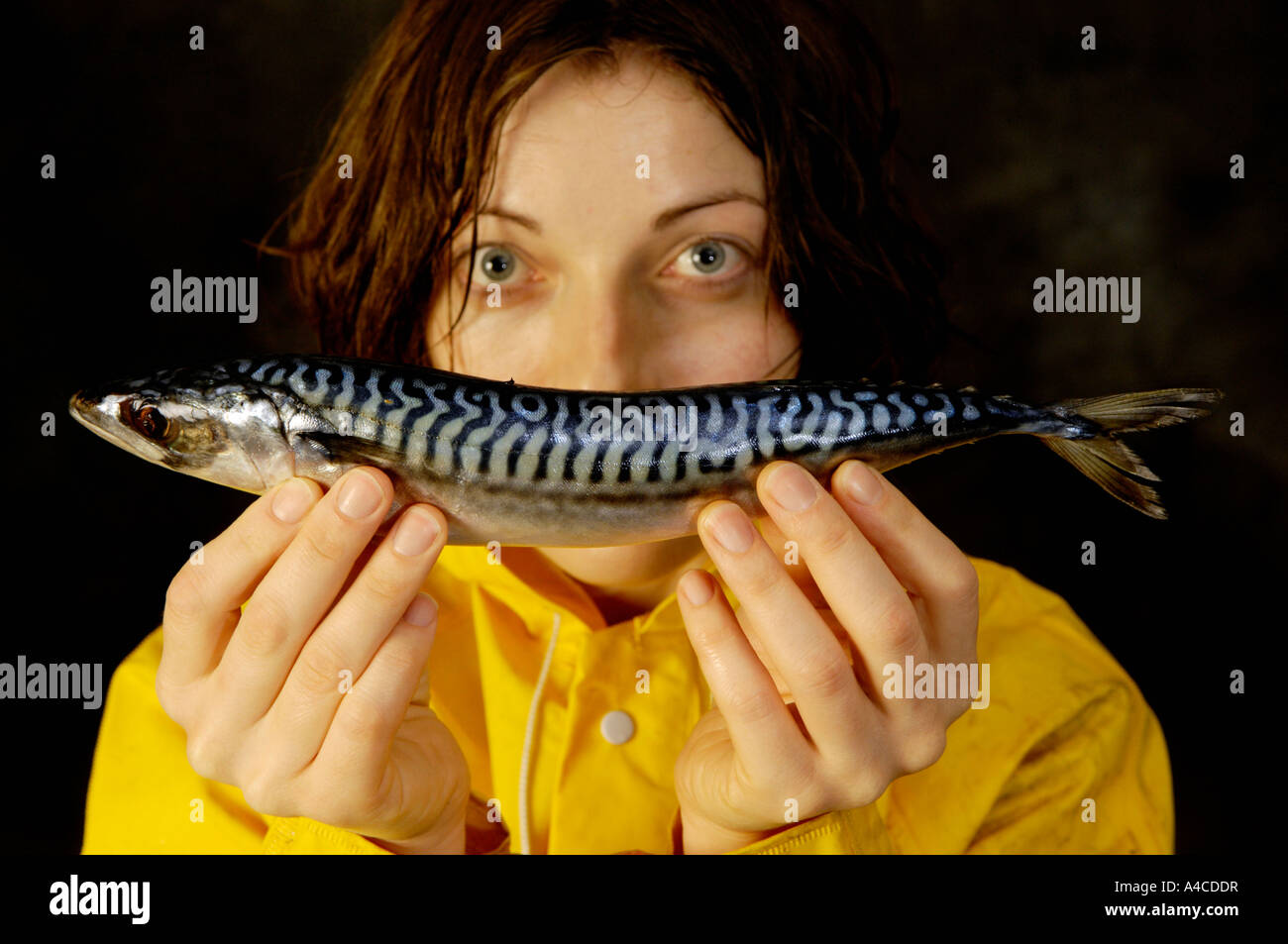A woman in yellow oilskins holding raw fish Stock Photo - Alamy
