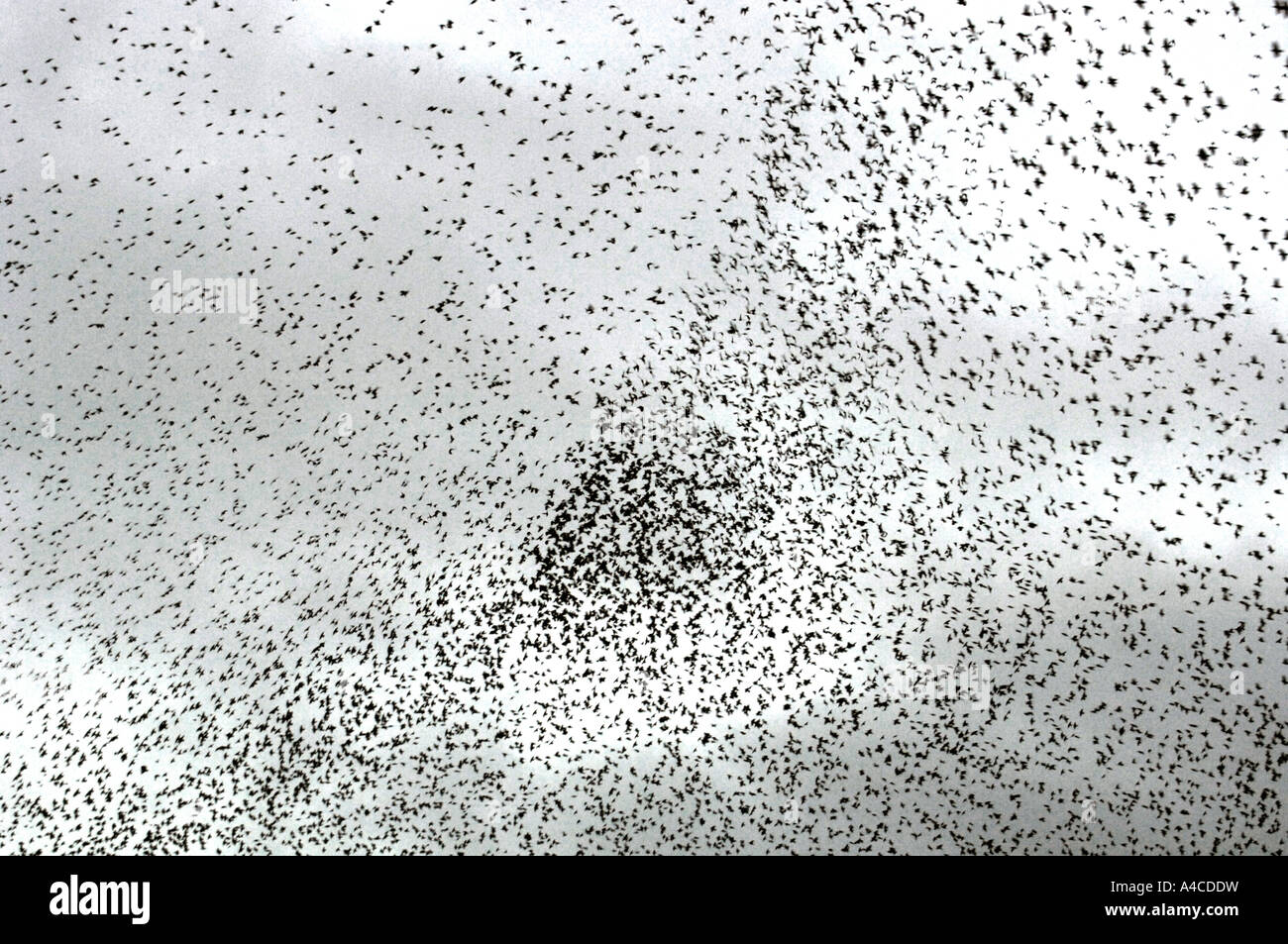 Countless numbers hi-res stock photography and images - Alamy