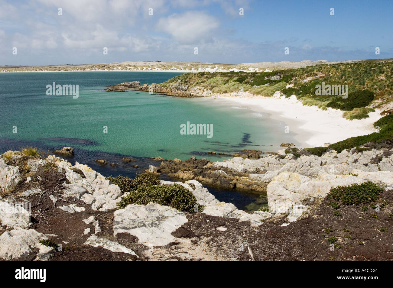 A view of gypsy cove and yorke bay near port stanley in the falkland ...