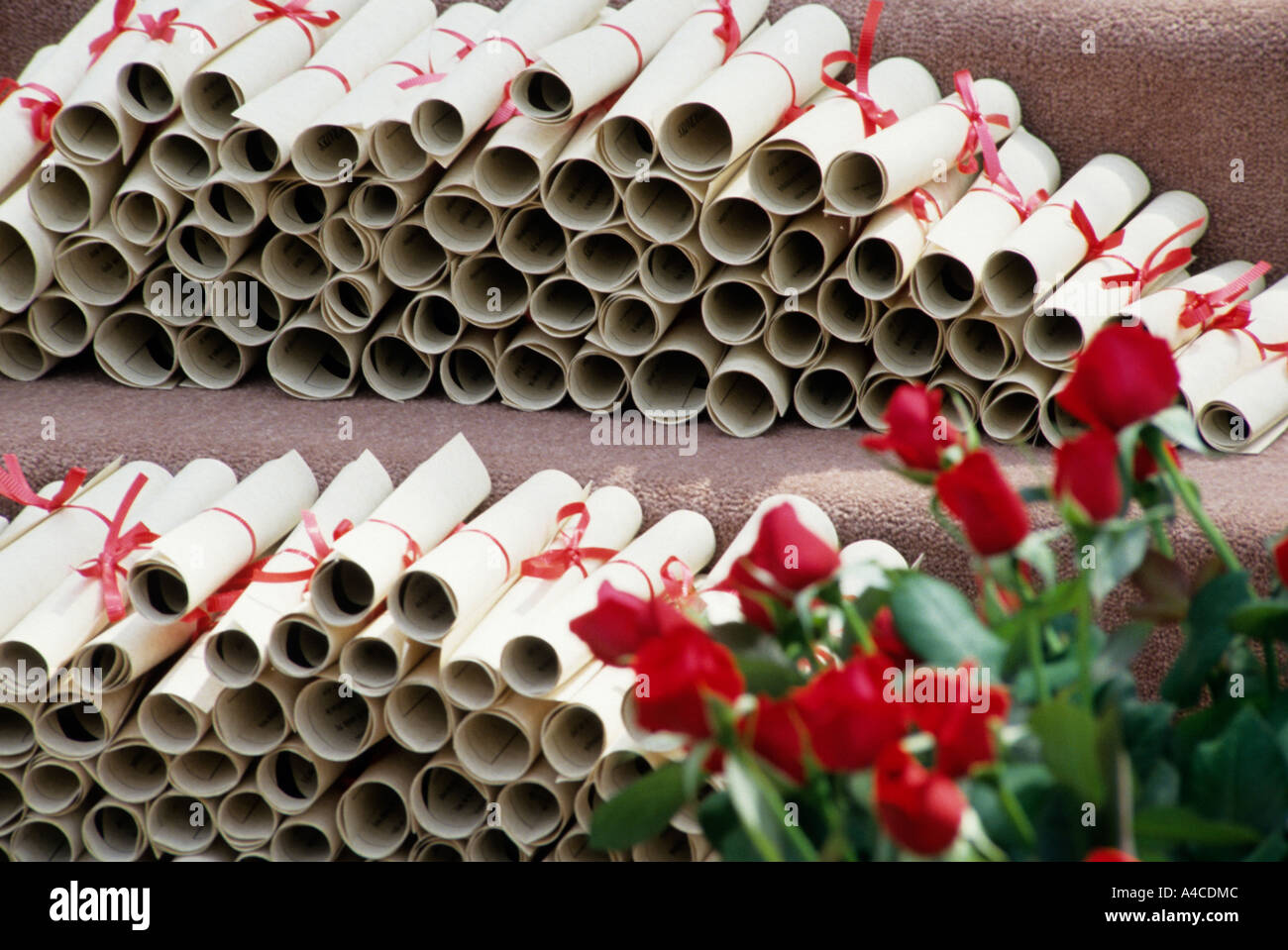 University graduation certificates Stock Photo - Alamy