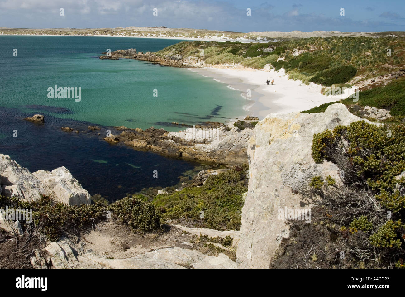 A view of gypsy cove and yorke bay, near port stanley in the falkland ...