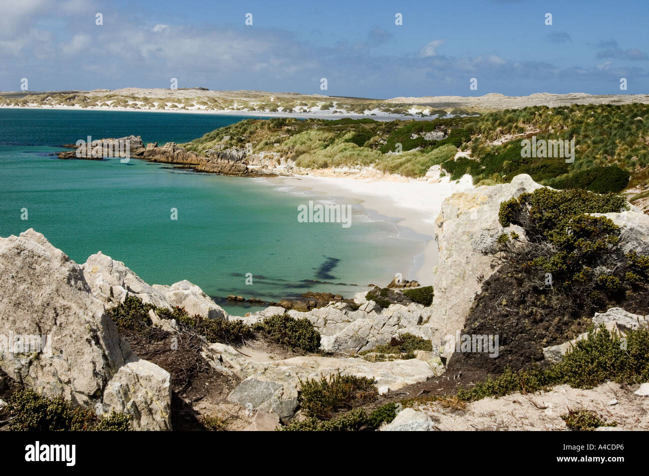 A view of gypsy cove and yorke bay near port stanley in the falkland ...