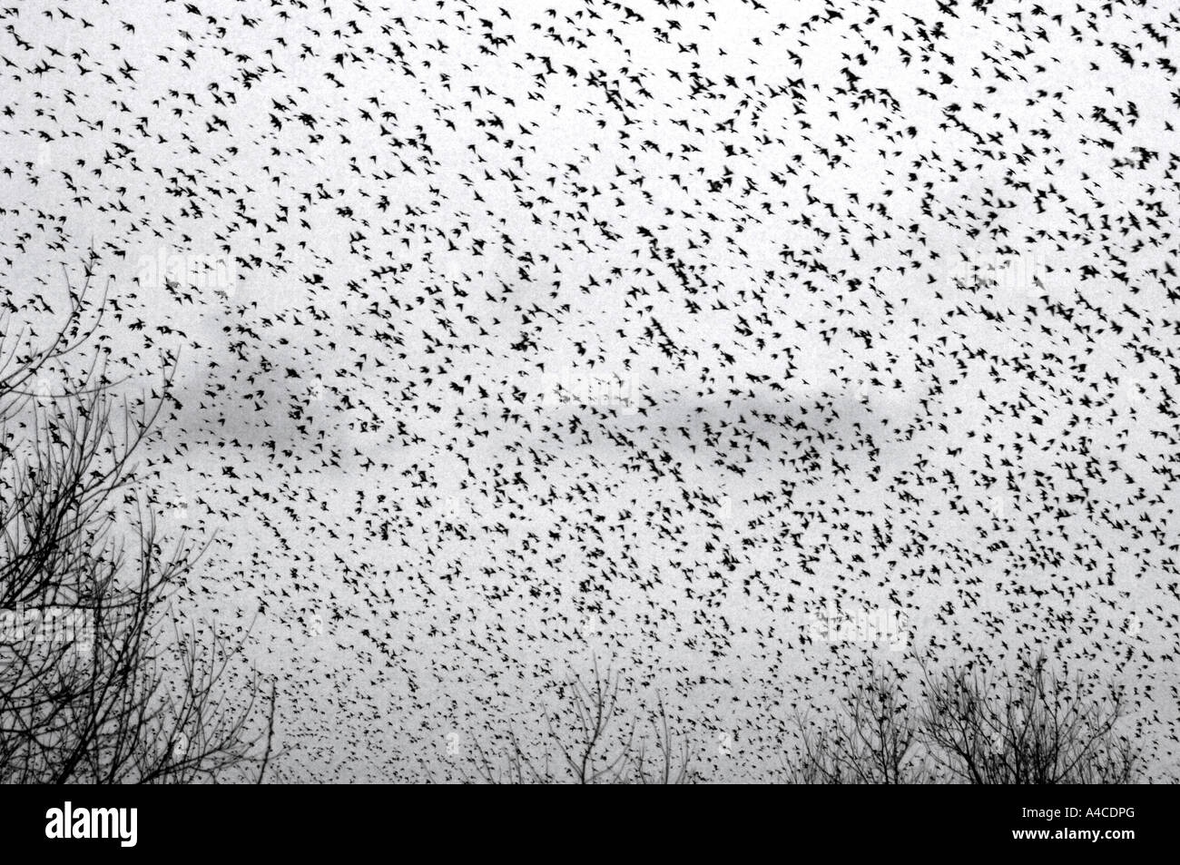 Countless numbers hi-res stock photography and images - Alamy