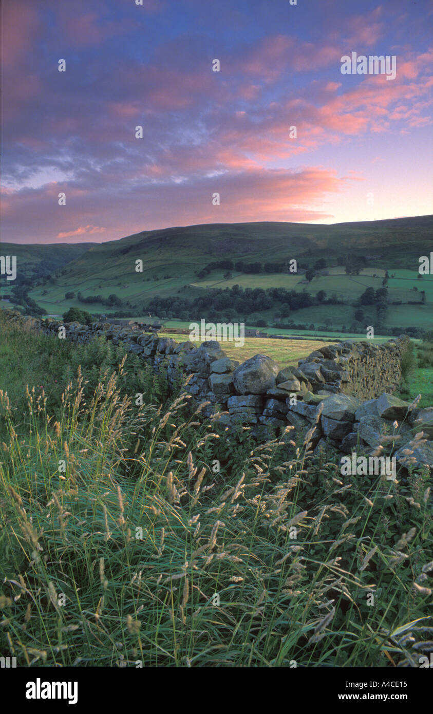 Swaledale Yorkshire Dales Yorkshire England UK Stock Photo - Alamy