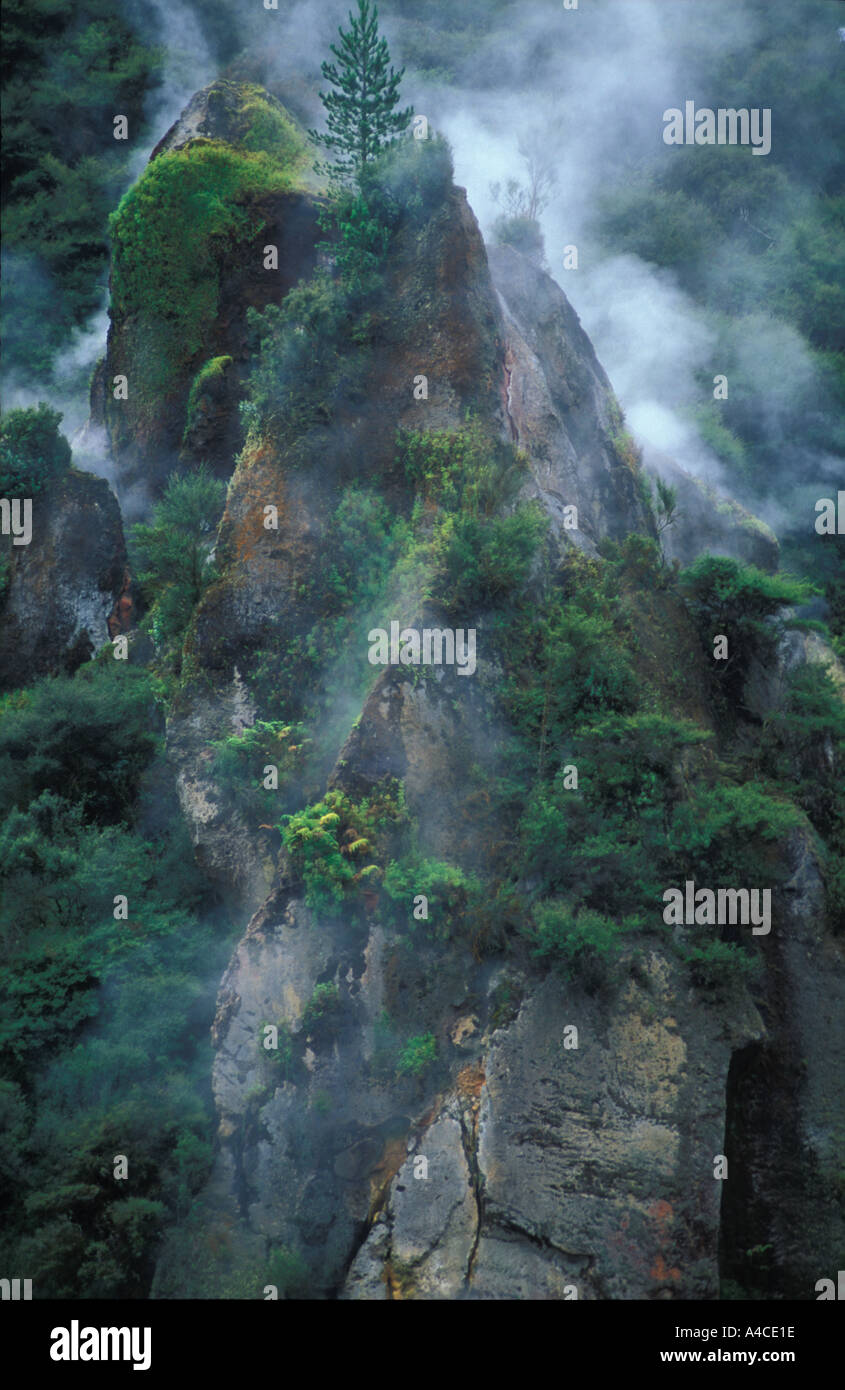 Steam steaming geothermal hi-res stock photography and images - Alamy