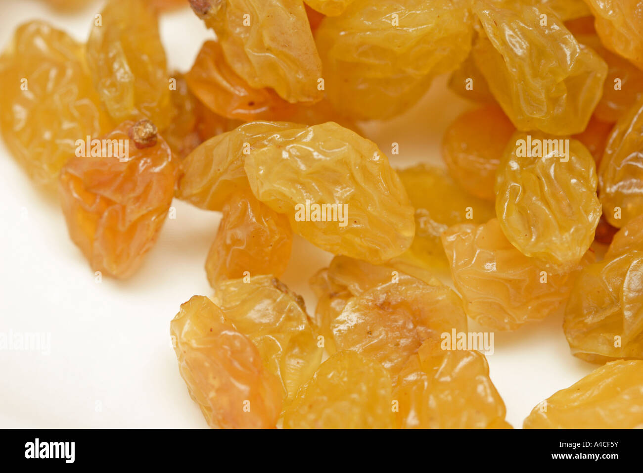 Golden Raisins on White Background Stock Photo - Alamy