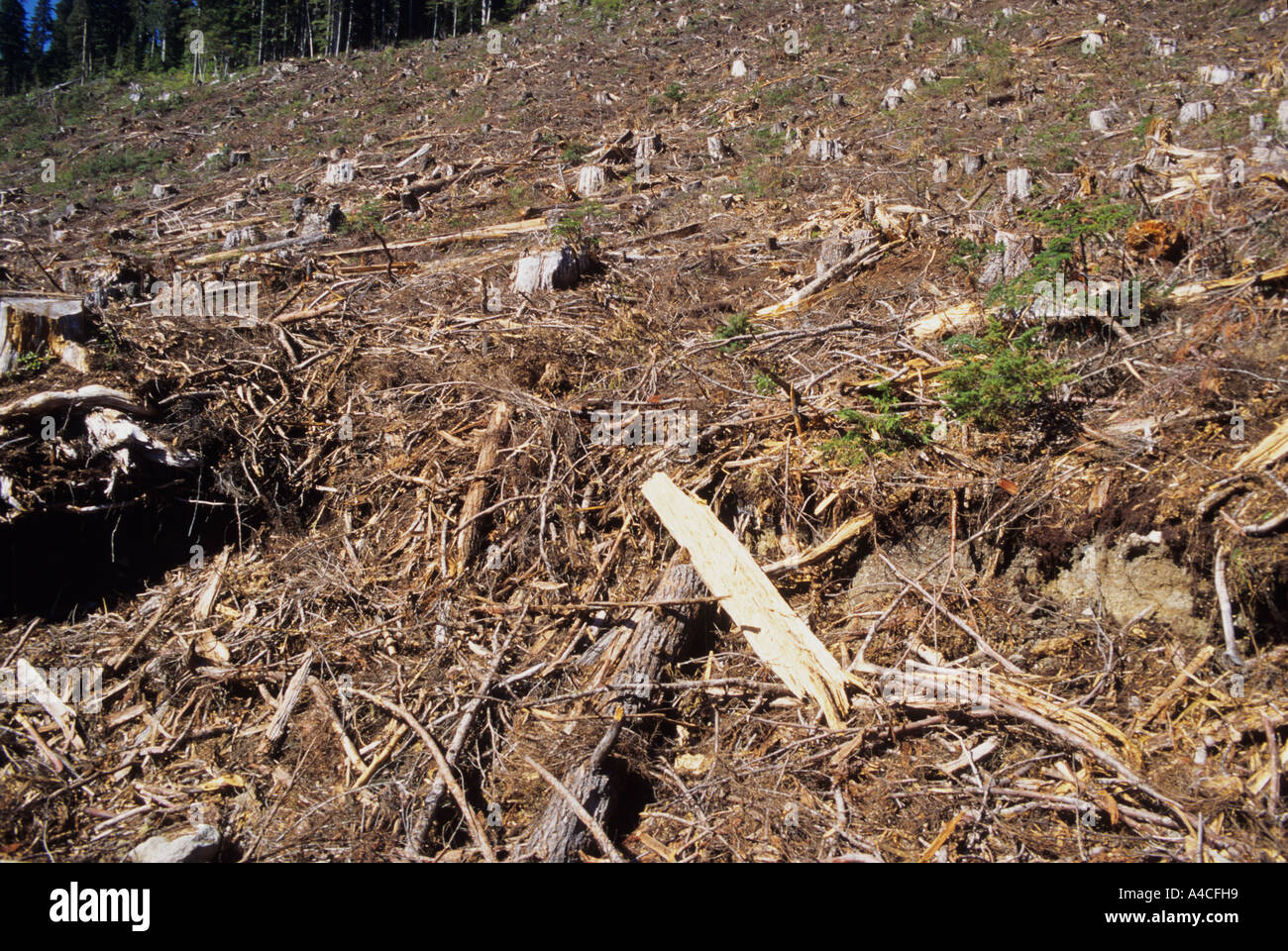 Logged out hi-res stock photography and images - Alamy