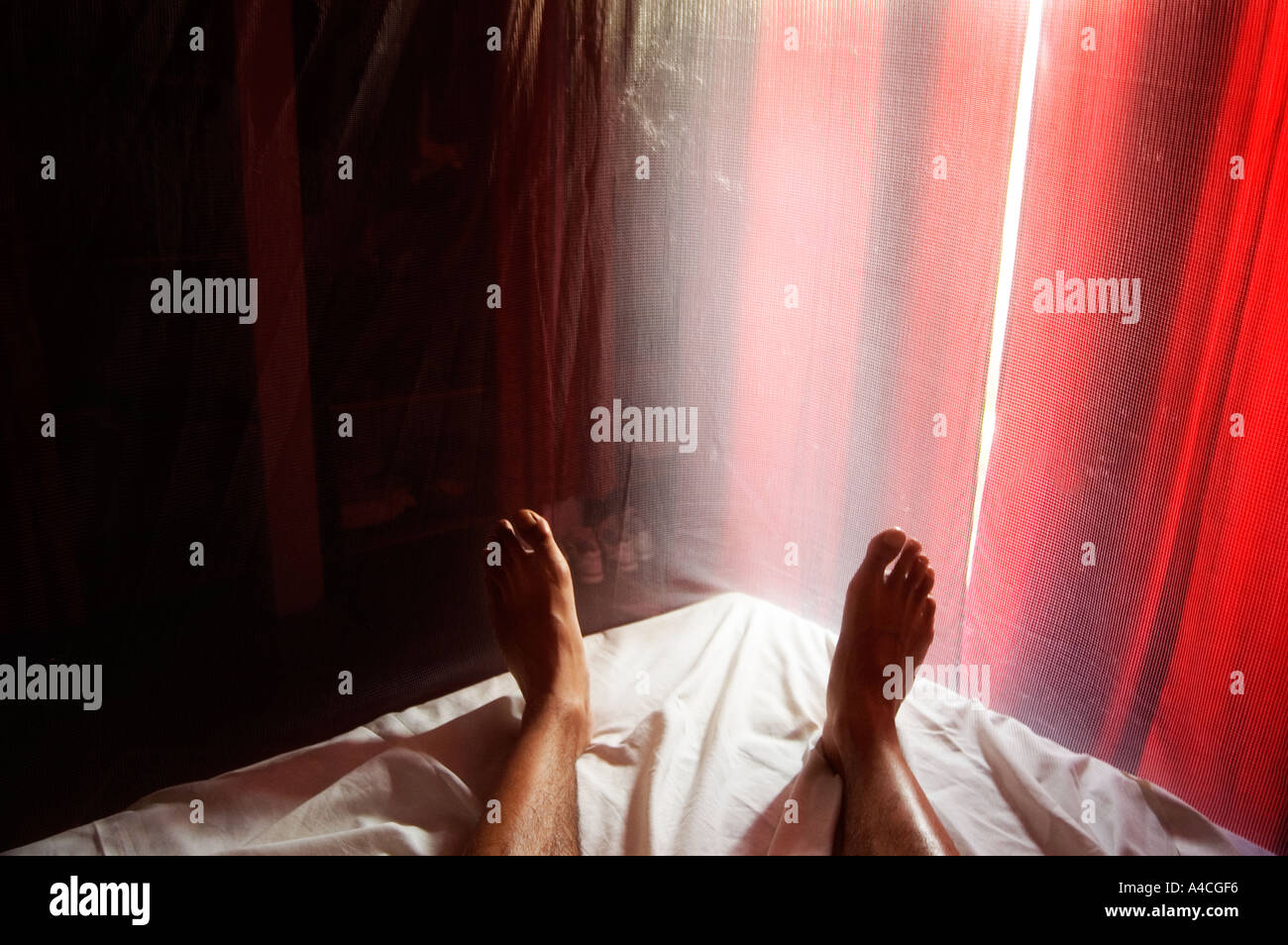 man under mosquito net Stock Photo - Alamy