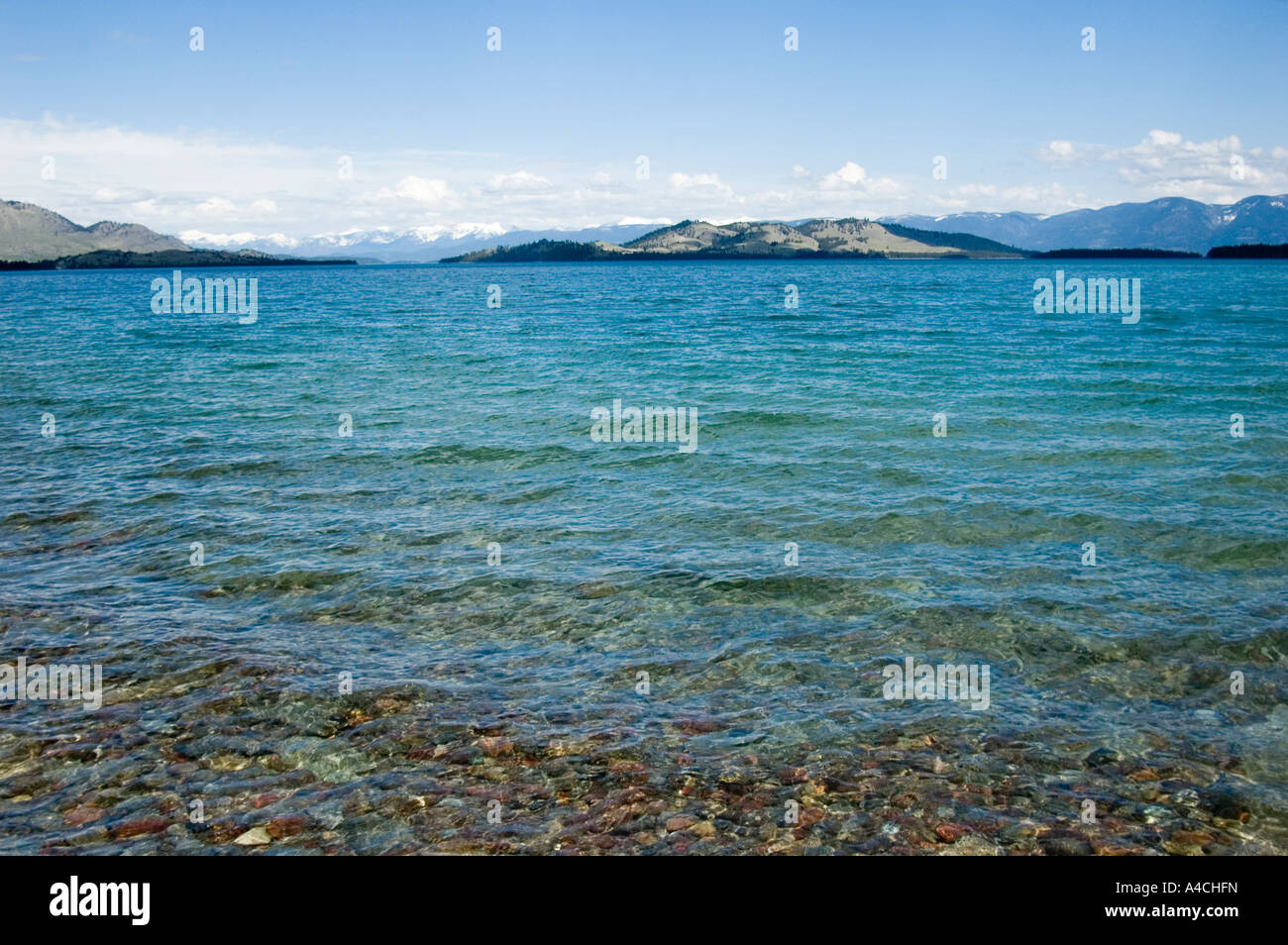 Flathead lake montana fishing hi-res stock photography and images - Alamy
