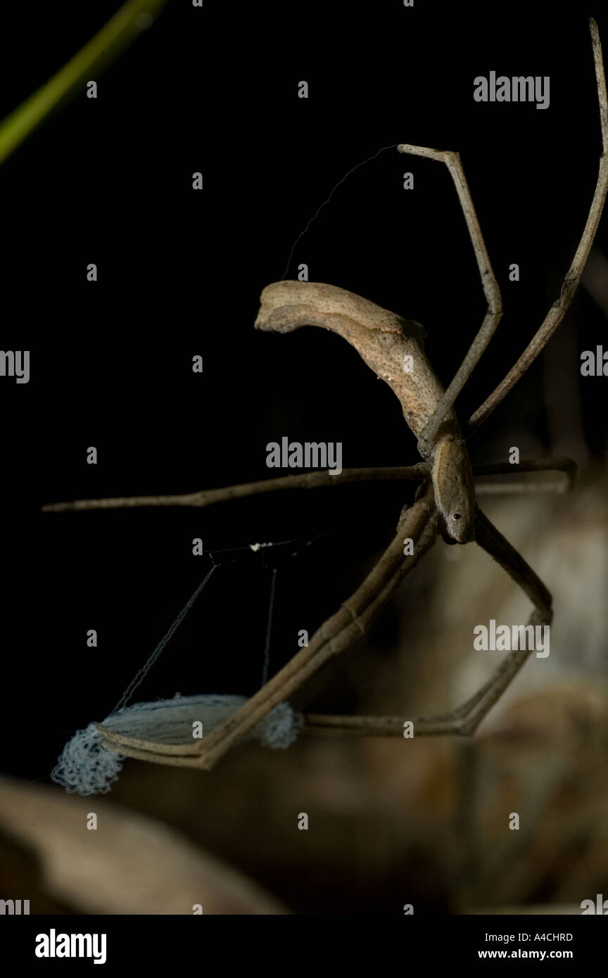 Webcasting hi-res stock photography and images - Alamy