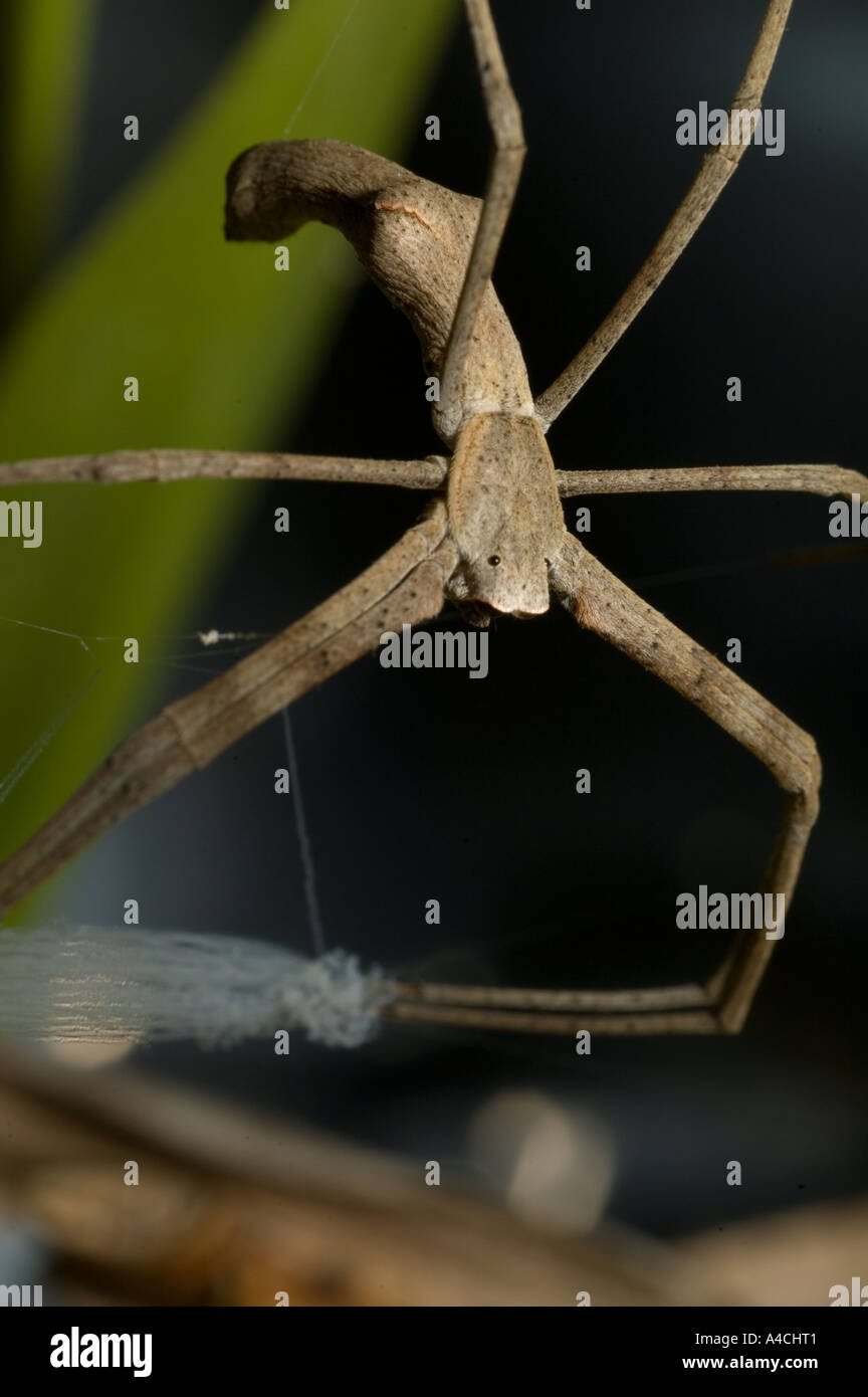 Webcasting hi-res stock photography and images - Alamy