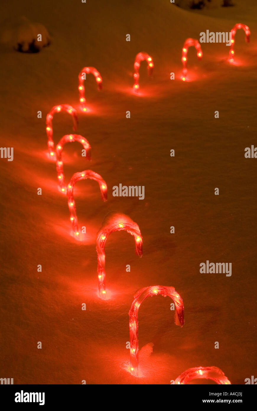 Electric light candy canes, Christmas decorations Stock Photo - Alamy