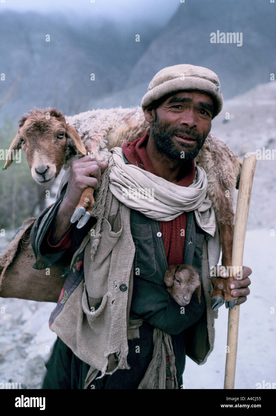 Man carrying a sheep hi-res stock photography and images - Alamy