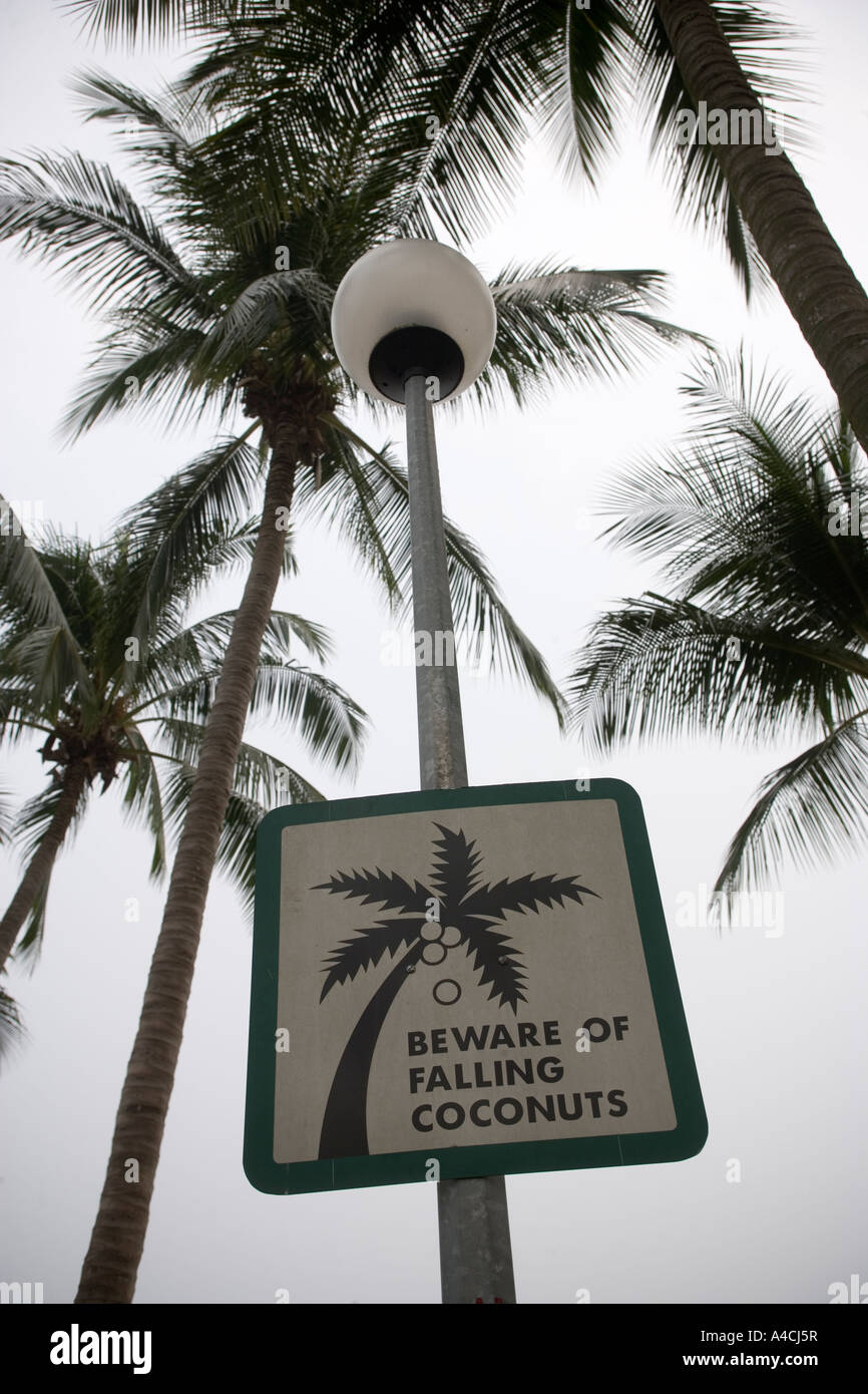 Beware of Falling Coconuts Sign Pasir Ris Park Singapore Stock Photo ...
