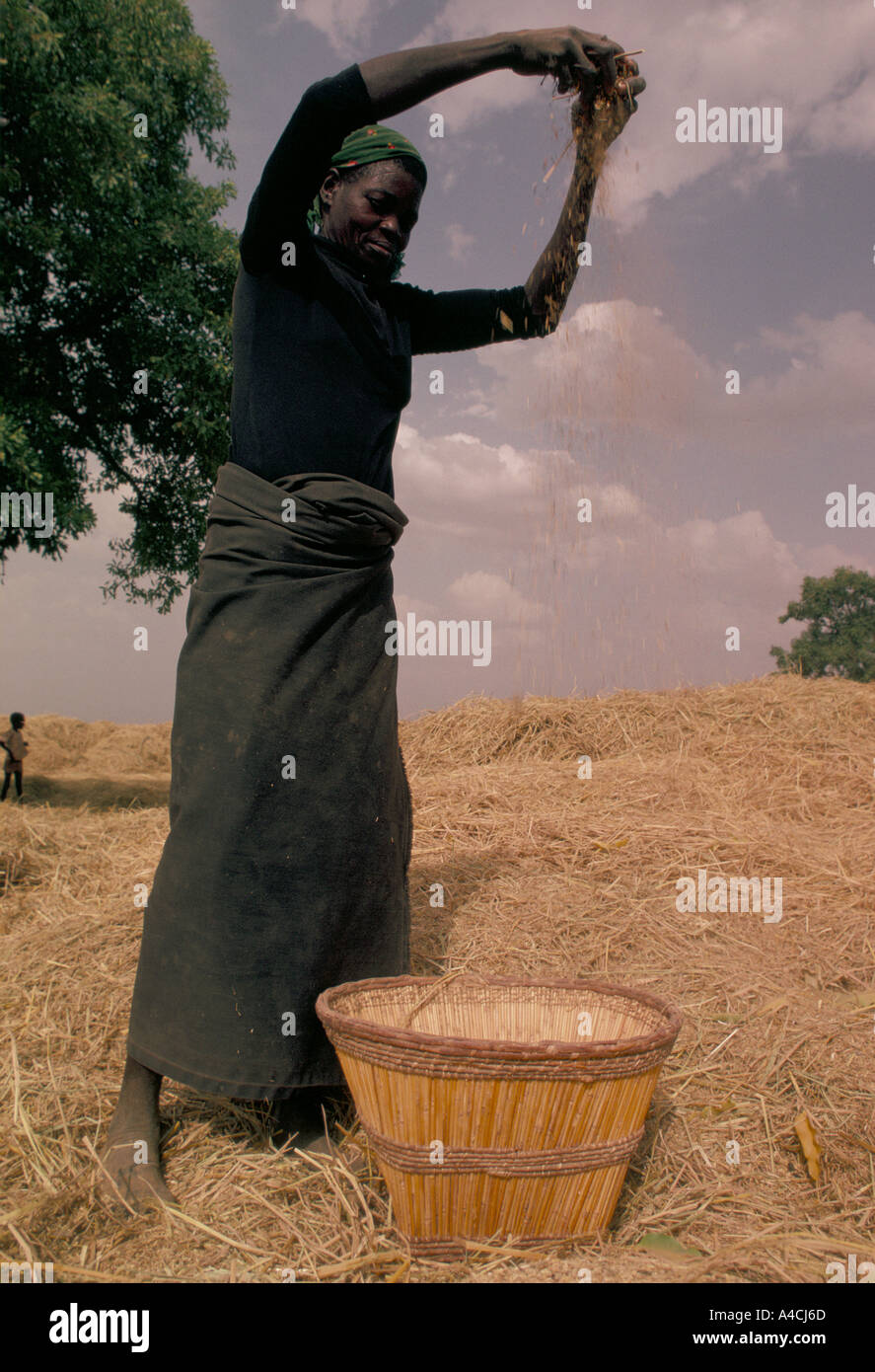 cleaning maize burkina faso Stock Photo - Alamy