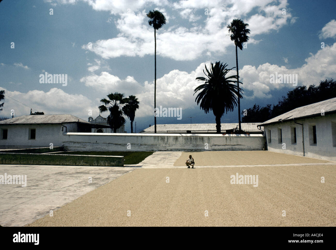 Coffee plantation foreman with harvest, Antigua, Guatemala. 1982 Stock ...