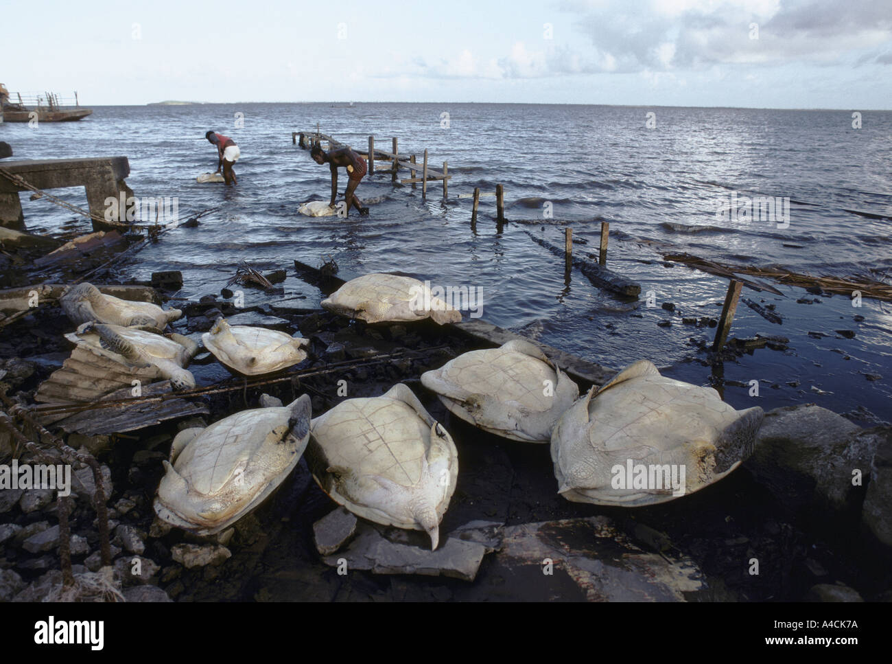 Bluefields nicaragua hi-res stock photography and images - Alamy