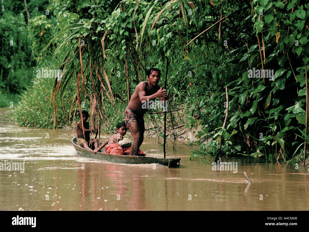 brazil the amazon acre province kampa indians living by river amonia ...