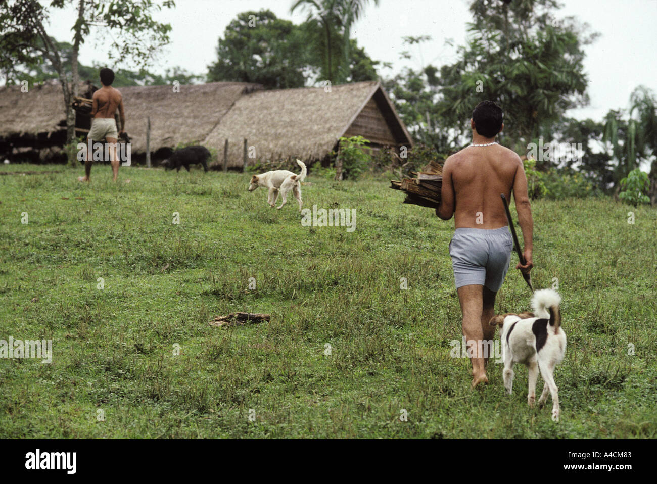 Acre province brazil hi-res stock photography and images - Alamy