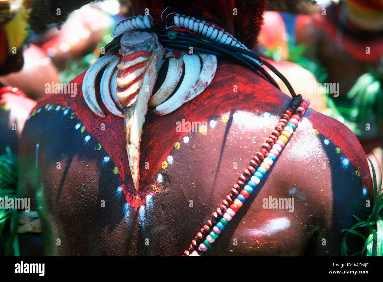 Huli tribesman from the Southern Highlands performs traditional dances ...