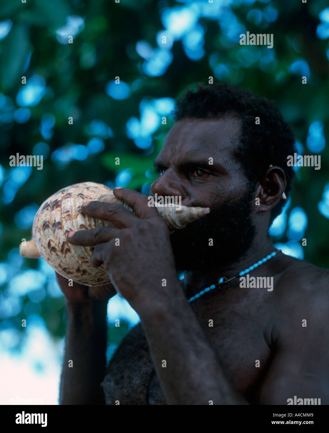 Man blowing conch shell hi-res stock photography and images - Alamy