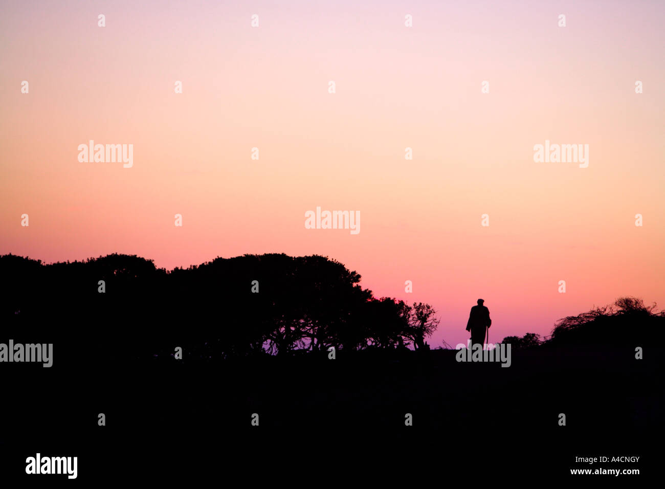 Silhouette of person standing in sunset landscape Stock Photo - Alamy