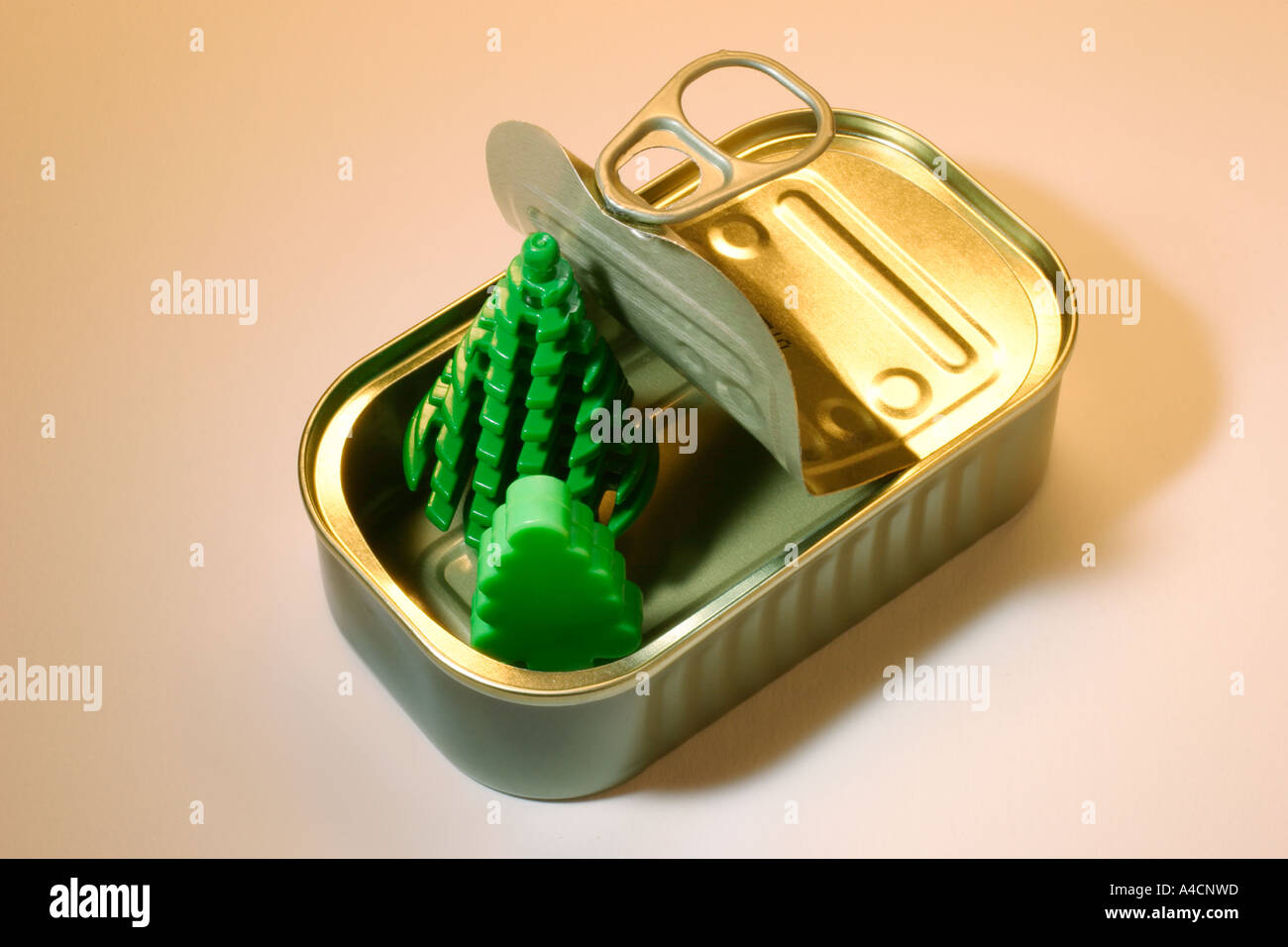Miniature Trees in Tin Can Stock Photo - Alamy