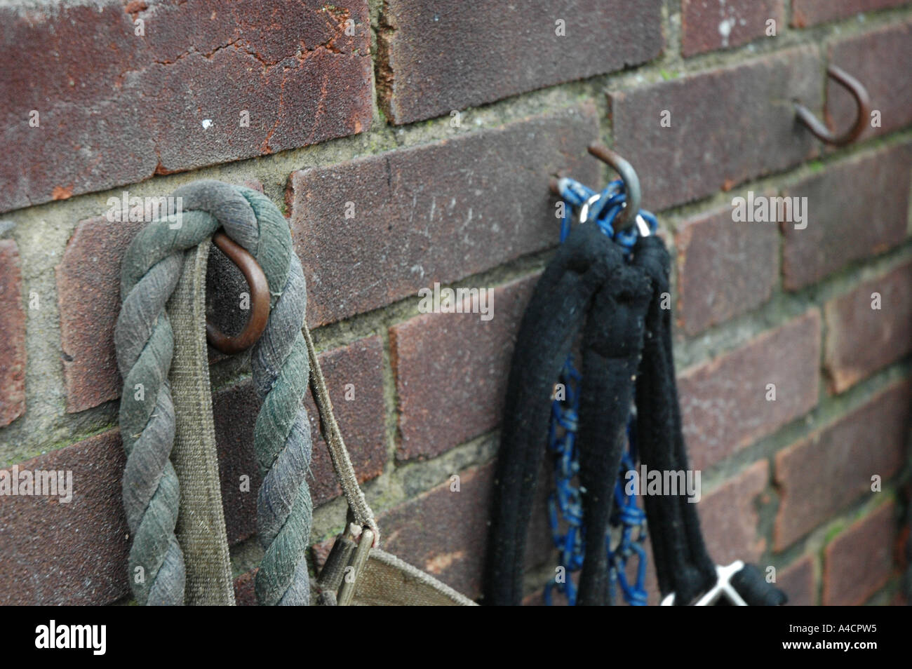 Rope hanging on a wall Stock Photo - Alamy