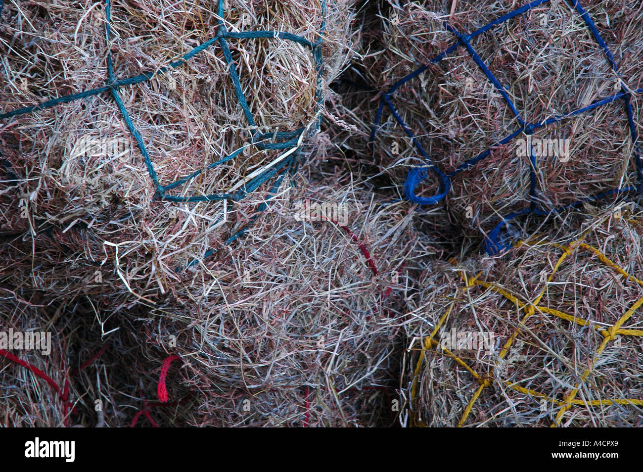 Coloured rope hi-res stock photography and images - Alamy