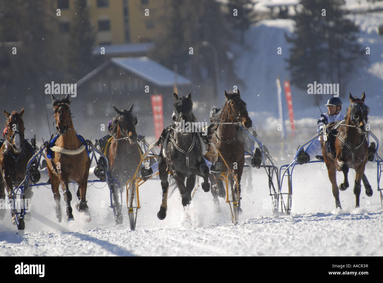 WHITE TURF HORSE RACING ON ICE ST MORTIZ SWITZERLAND 4TH FEBUARY 2007 ...
