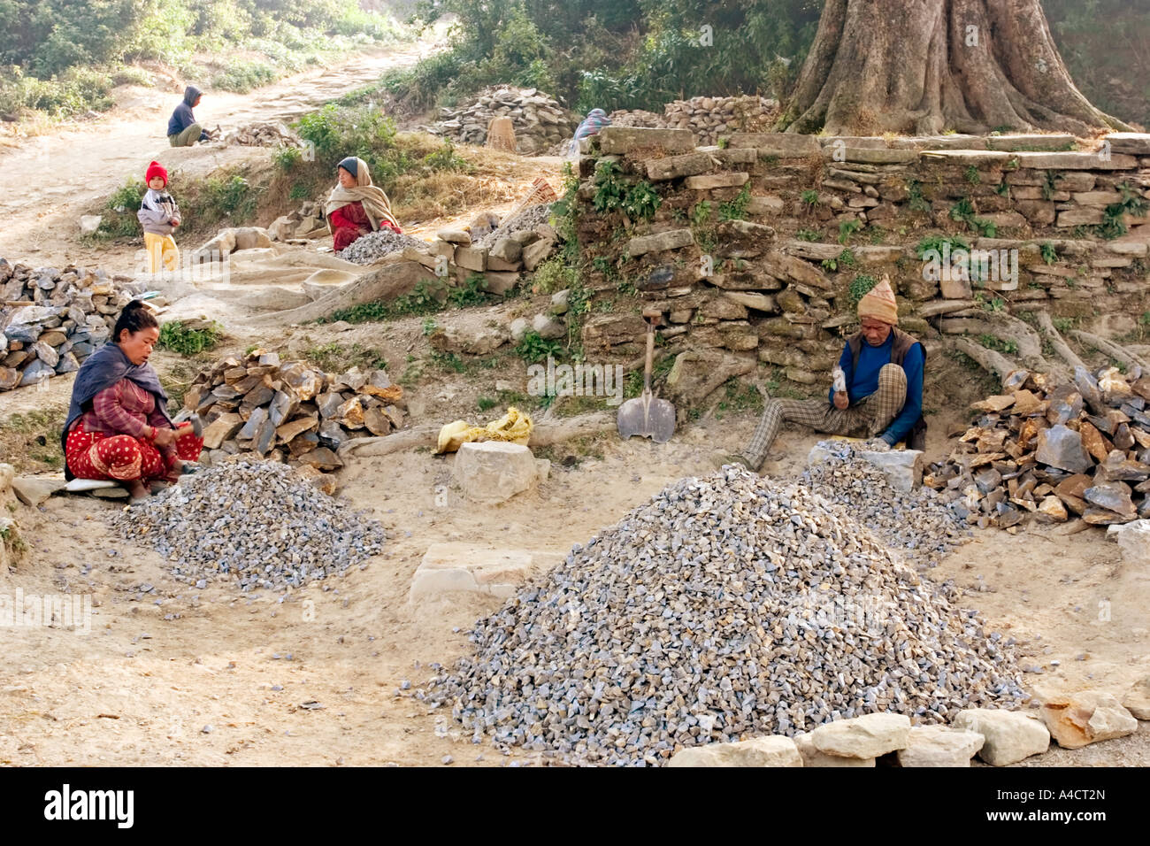 Hard labour breaking rocks hi-res stock photography and images - Alamy