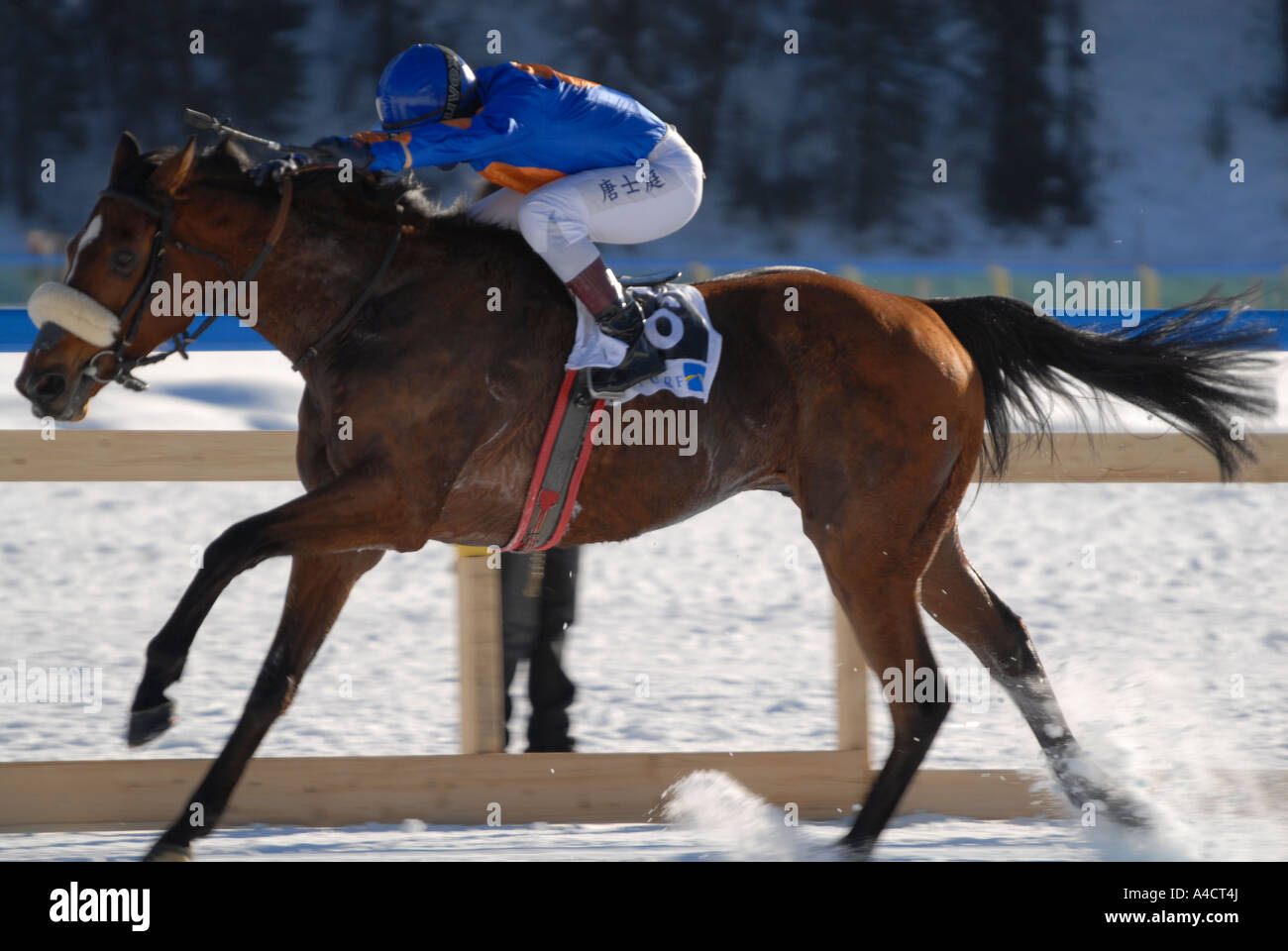 WHITE TURF HORSE RACING ON ICE ST MORTIZ SWITZERLAND 4TH FEBUARY 2007 ...