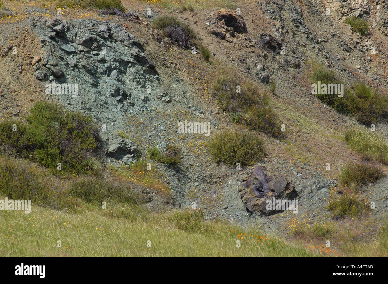 Los Padres National Forest Stock Photo - Alamy