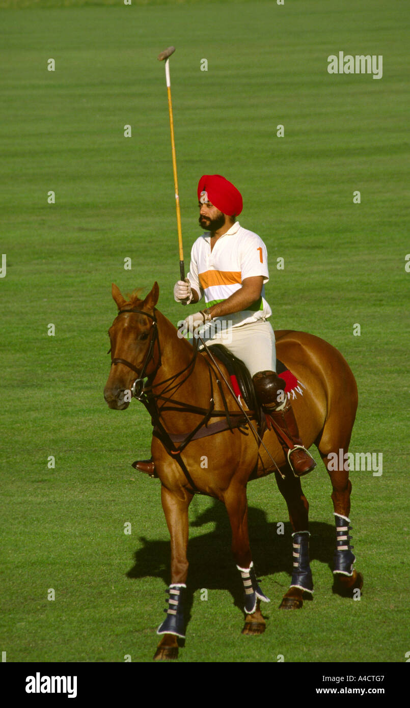 Polo horse hi-res stock photography and images - Alamy