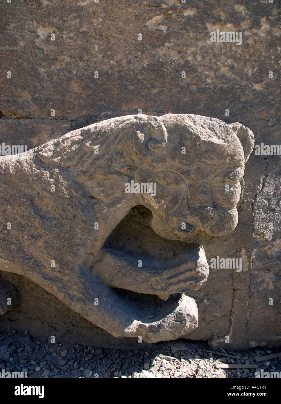 sculpted lion on the Tower of the Lions, Citadel, Cairo, Egypt Stock ...
