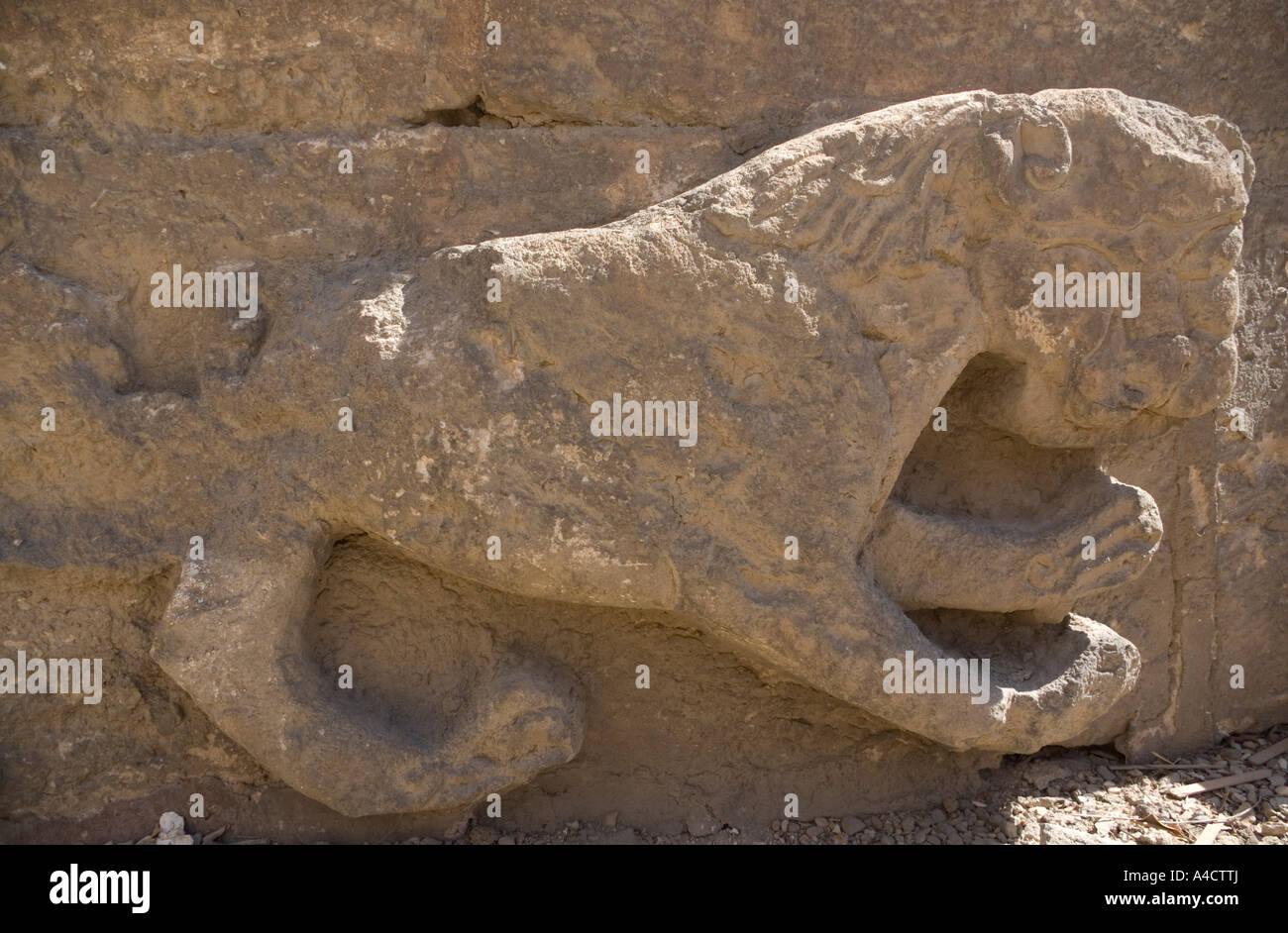 sculpted lion on the Tower of the Lions, Citadel, Cairo, Egypt Stock ...