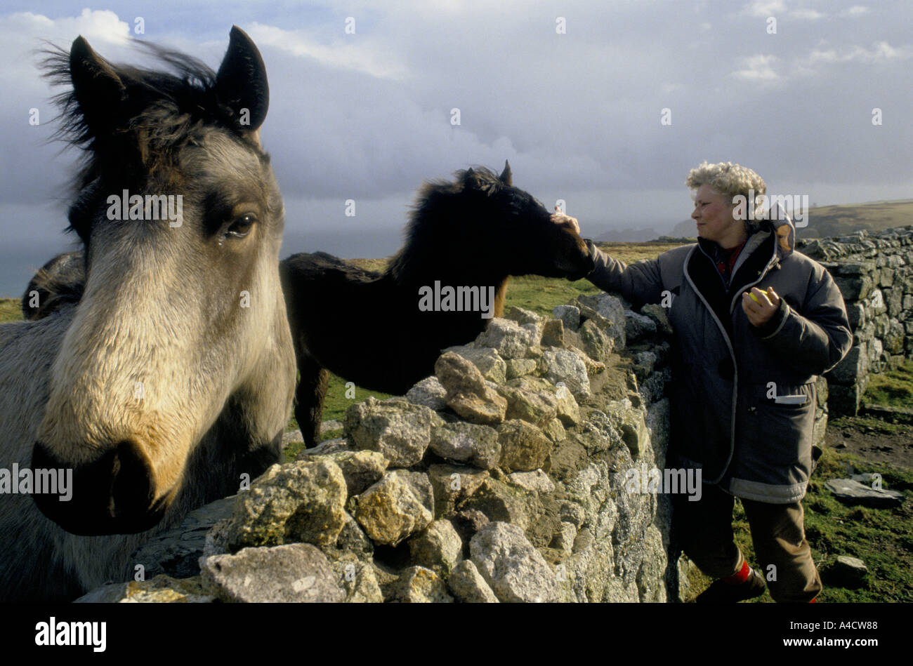 Lundy island hi-res stock photography and images - Alamy