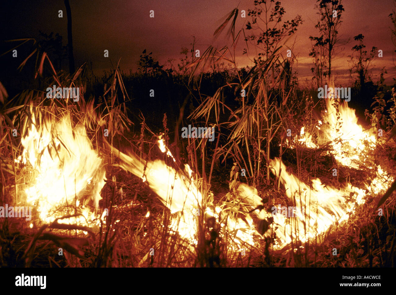 Slash and burn farming fire hi-res stock photography and images - Alamy