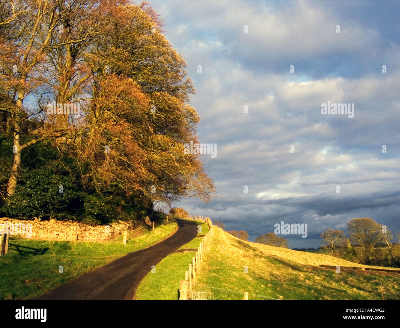 dramatic and beautiful English countryside scene in spring Stock Photo ...