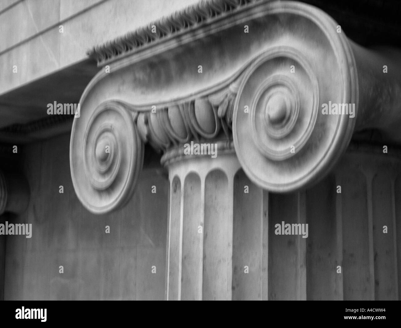 Ionic column head Stock Photo - Alamy