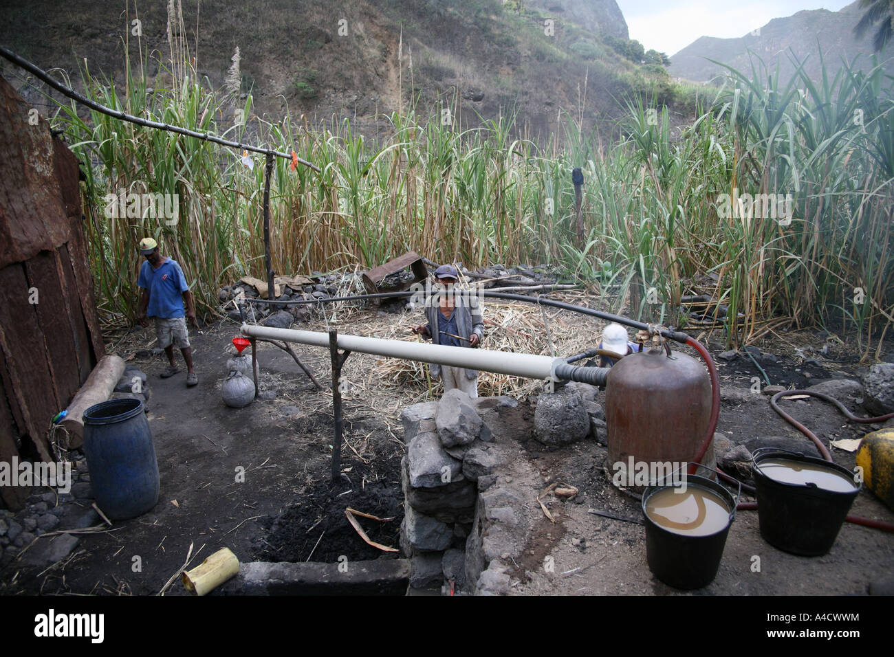A sugar cane distillery Santo Antao, making Grogue Stock Photo - Alamy