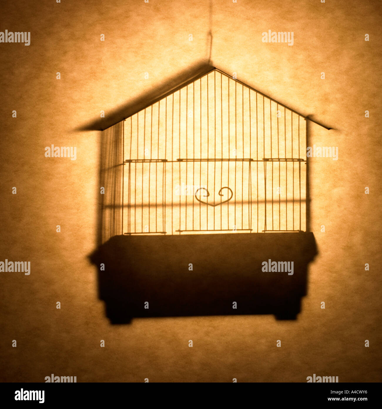 Enclosed bird cage hi-res stock photography and images - Alamy