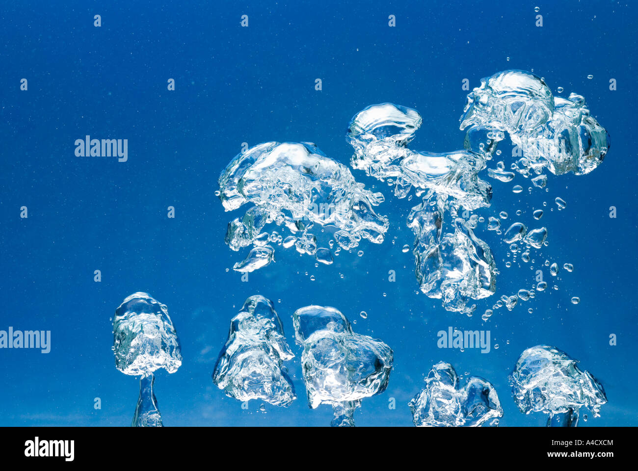 Air bubbles underwater rising hi-res stock photography and images - Alamy