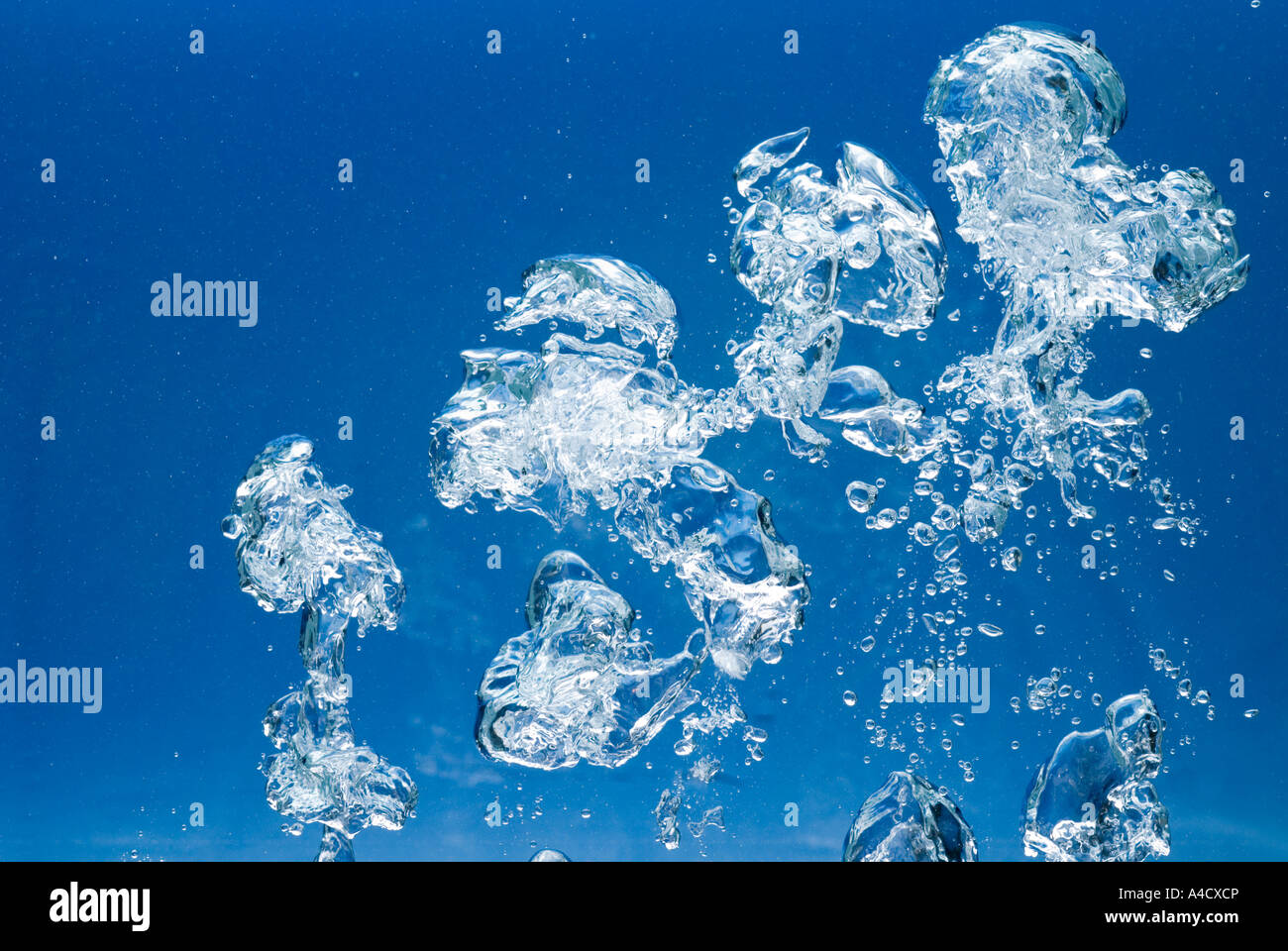 Oxygen bubbles rising surface water hi-res stock photography and images - Alamy