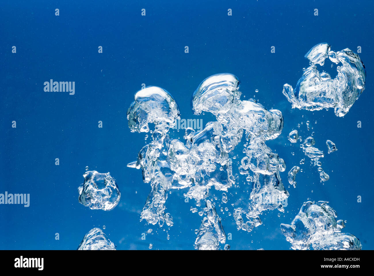 Oxygen bubbles rising surface water hi-res stock photography and images ...