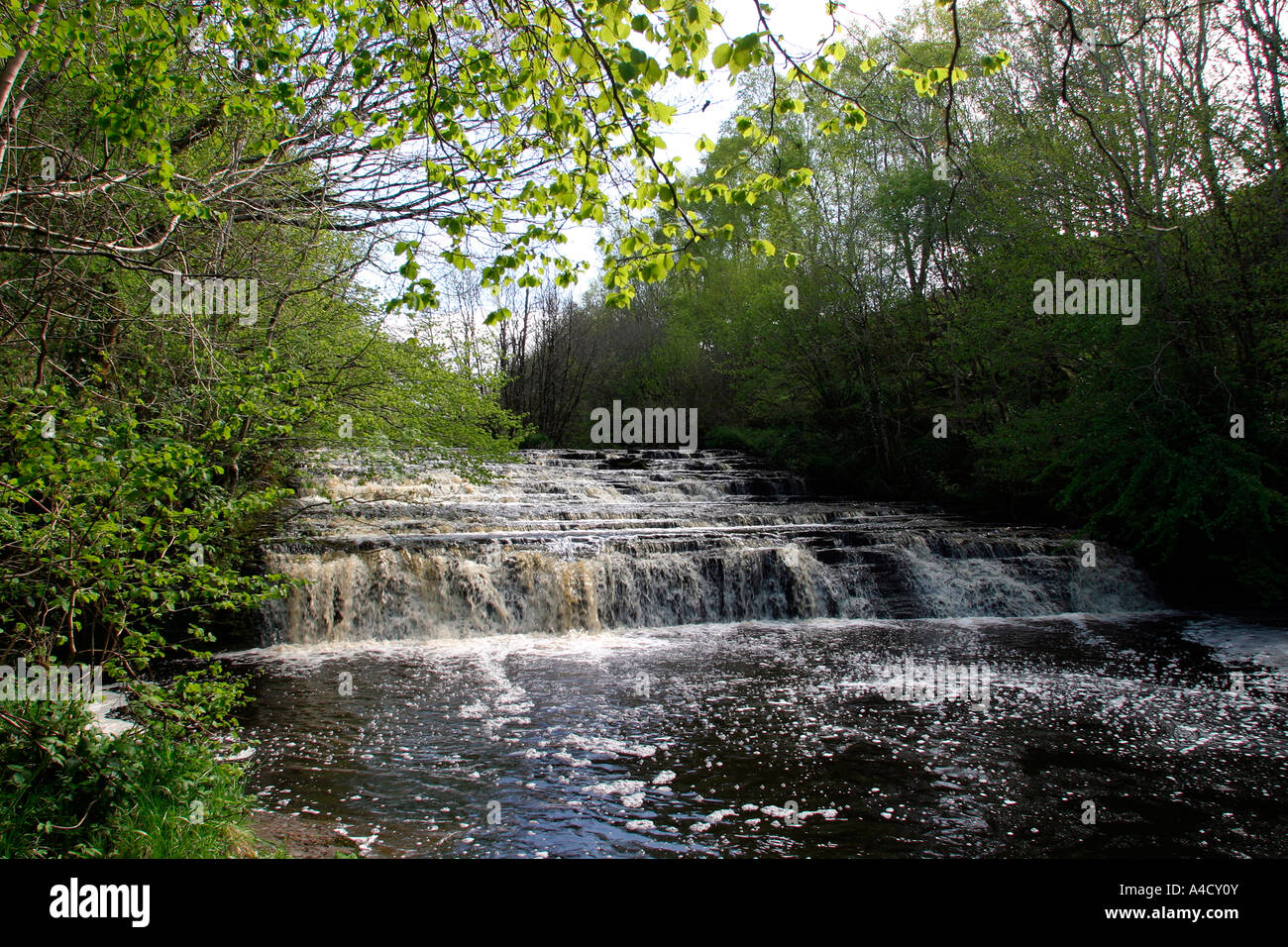 UK County Fermanagh Drummoney Falls countryside Stock Photo - Alamy